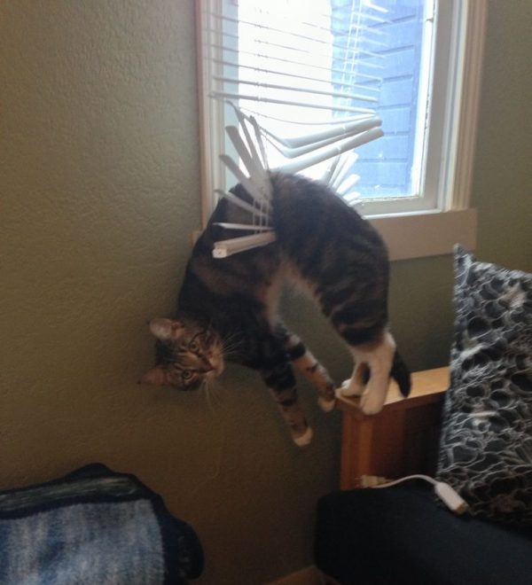 2 Timothy 2:26 – Bible Verse of the Day