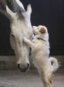 Psalm 139:8 – Bible Verse of the Day