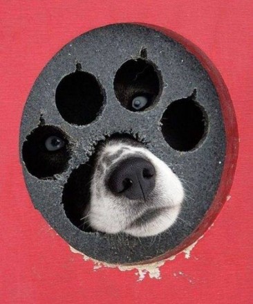 Matthew 24:33 – Bible Verse of the Day