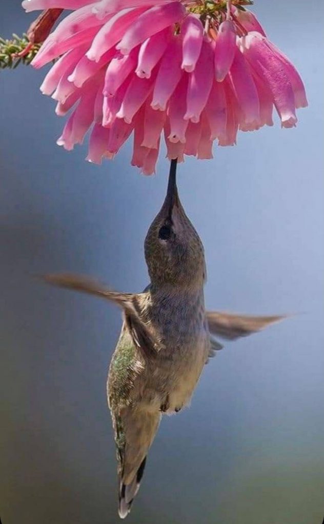 Proverbs 14:23 – Bible Verse of the Day