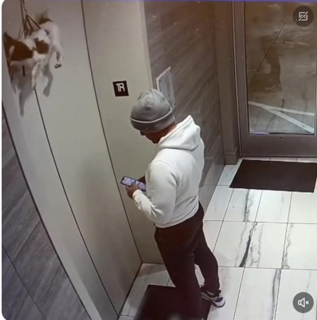 Philippians 2:4 – Bible Verse of the Day